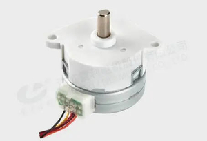 JIANGSU LEILI MOTOR CO., LTD